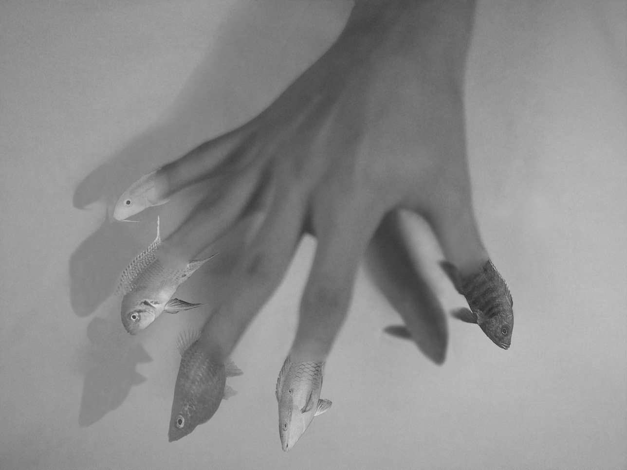 Photoshop Submission for 'Visual Puns 5' Contest | Design #9014753