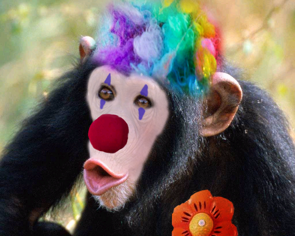 Photoshop Submission for 'Animal Clowns' Contest | Design #9021842