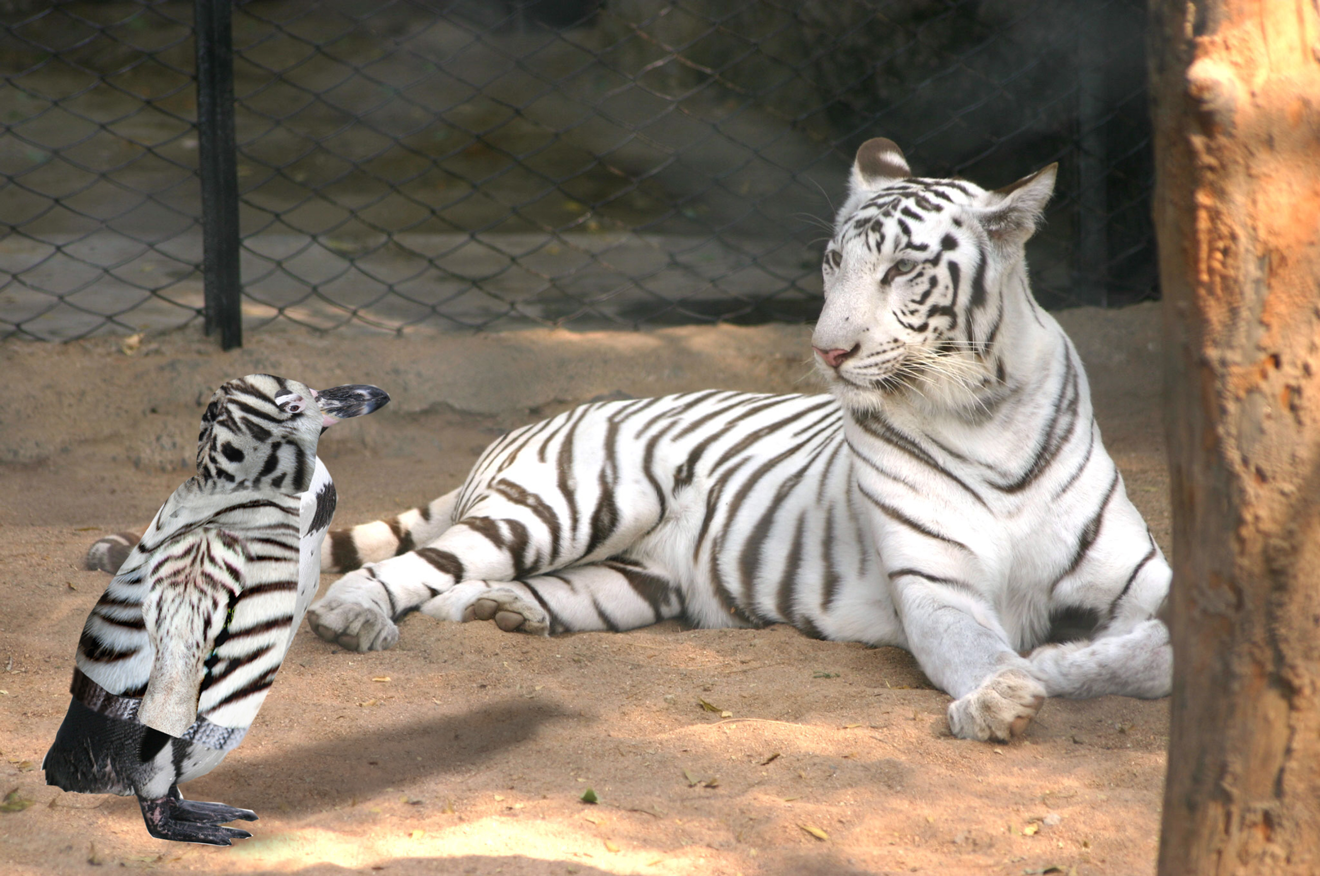 Photoshop Submission for 'Animal Disguises' Contest | Design #9010001