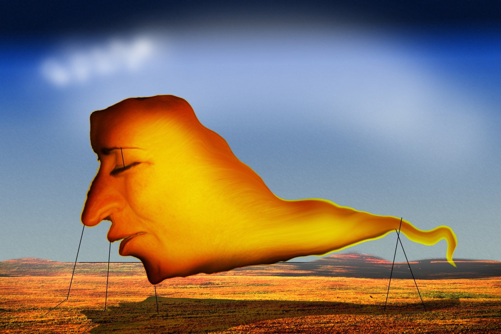 Photoshop Submission for 'If Dali Ruled' Contest | Design #9017037