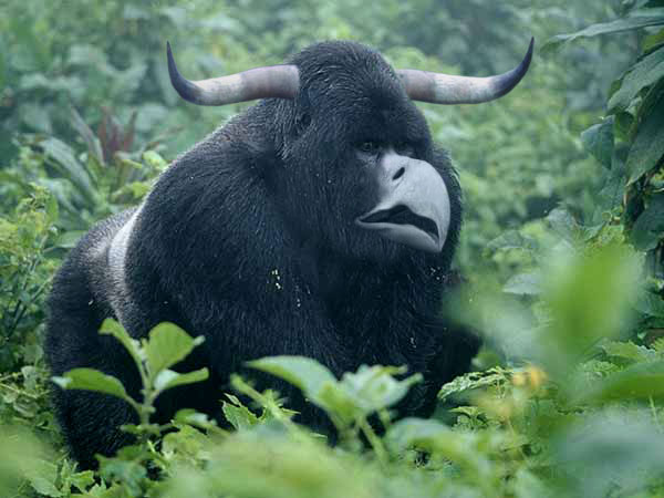 Photoshop Submission for 'Chimaera 3' Contest | Design #9004416