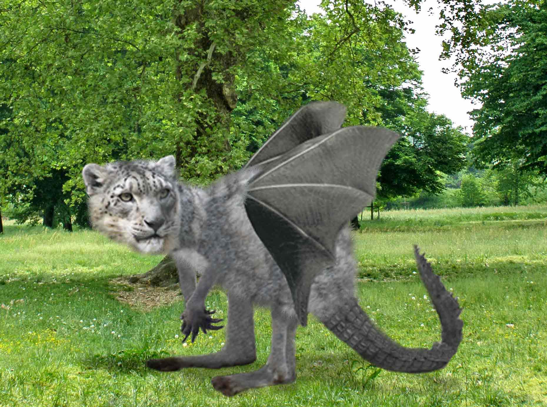 Photoshop Submission for 'Chimaera 3' Contest | Design #9004462