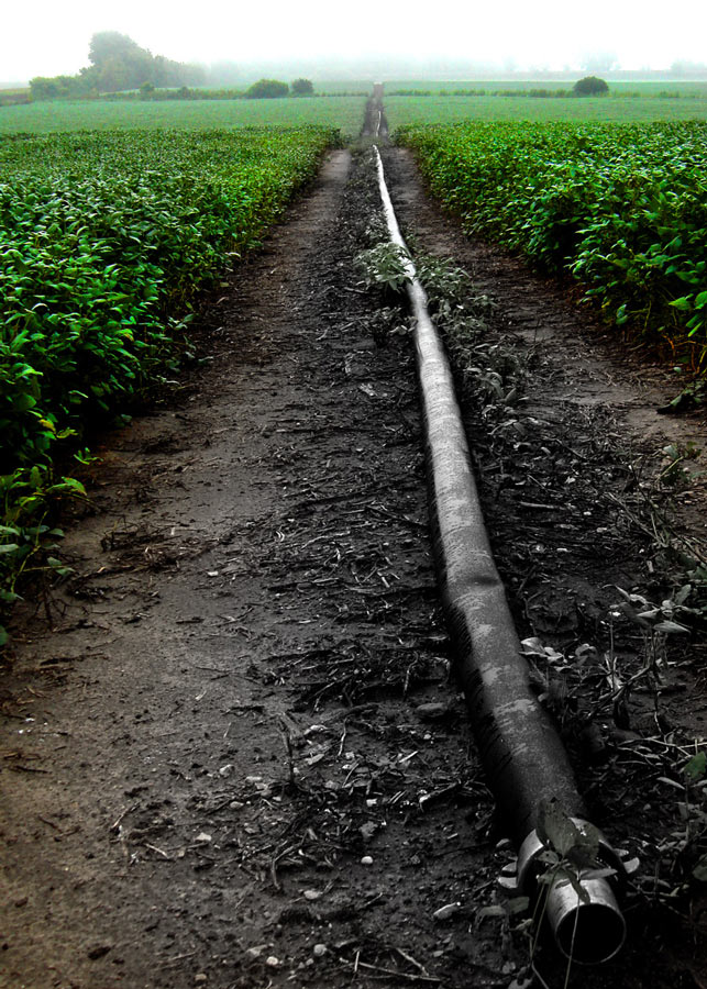 Photograph Submission for 'Bonus: Selective Saturation/Desaturation ...