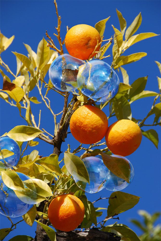 Photoshop Submission for 'Bubble Rap 3' Contest | Design #8997594