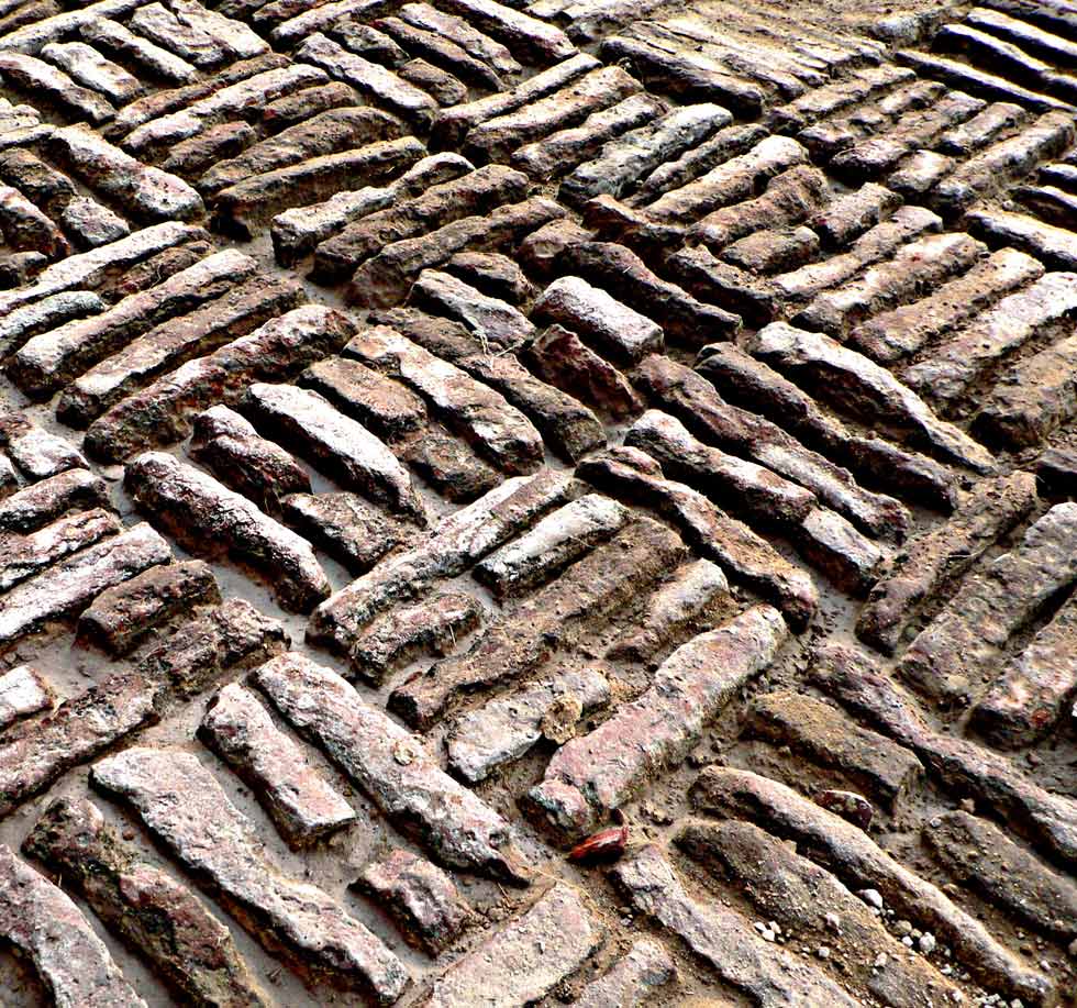 Photograph Submission for 'Intermediate: Rough' Contest | Design #8995064