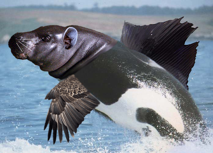 Photoshop Submission for 'Extinct Animals 2' Contest | Design #8993445