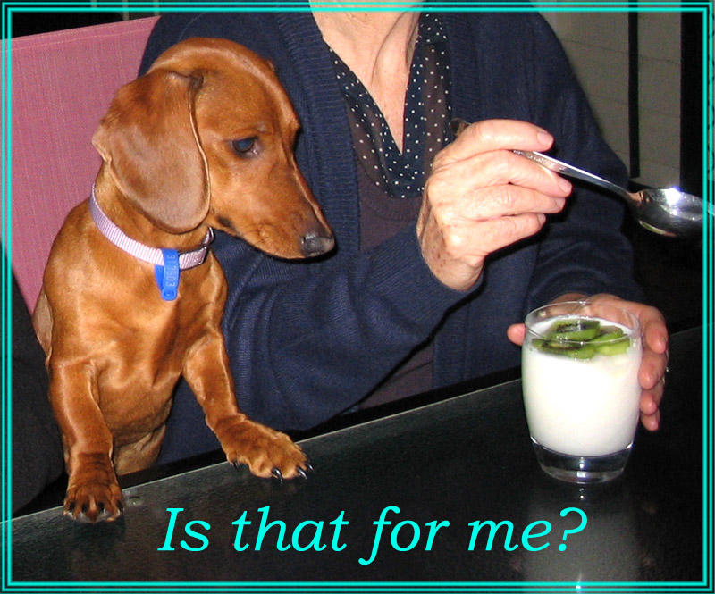 Photograph Submission for 'Bonus: Animal Antics' Contest | Design #8996041