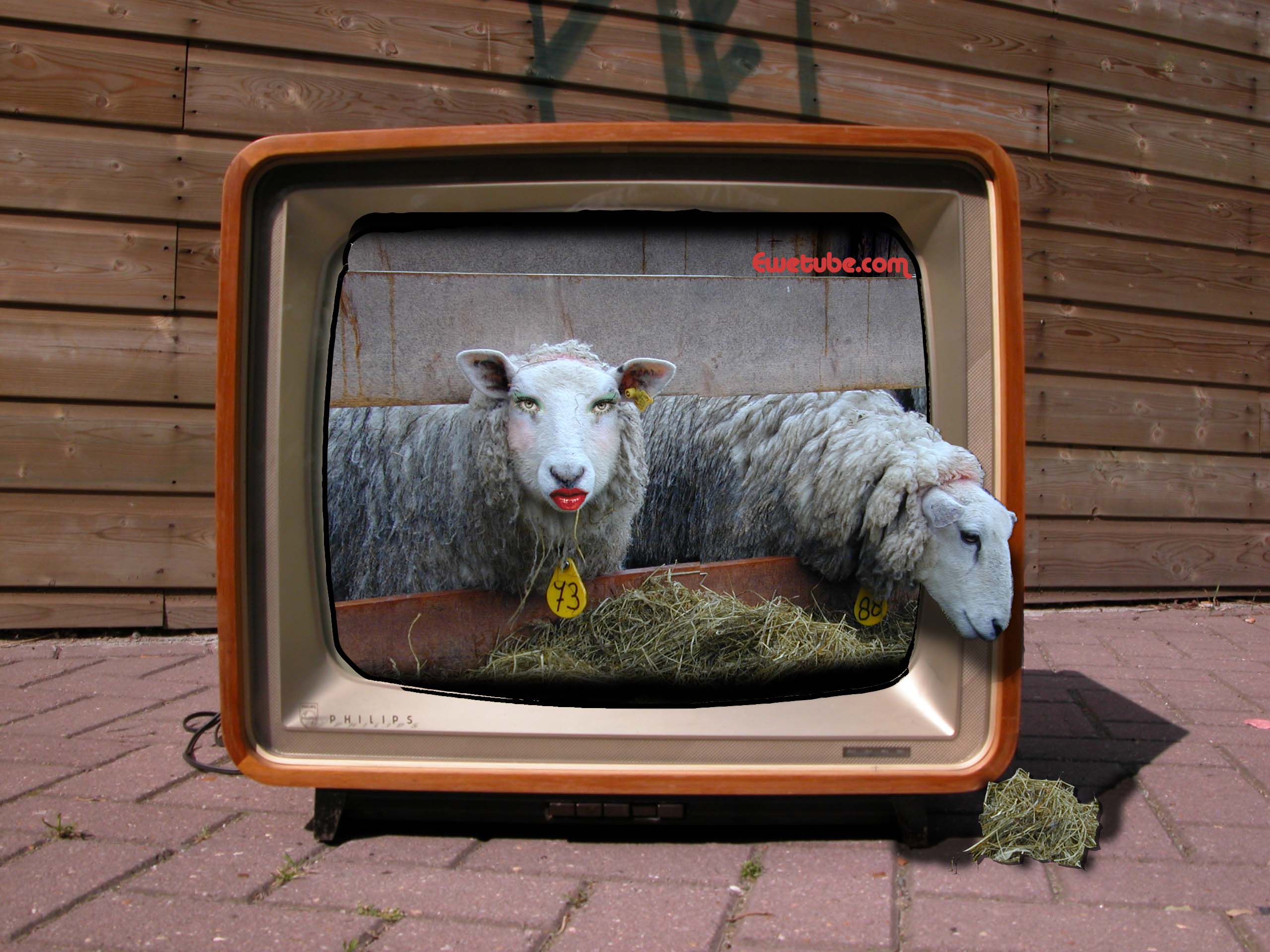 Photoshop Submission for 'Website Literals' Contest | Design #8989354