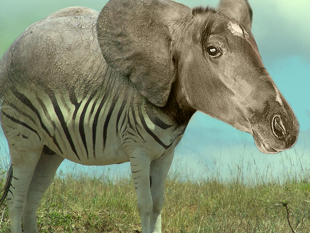 Photoshop Submission for 'Chimaera 4' Contest | Design #8986199