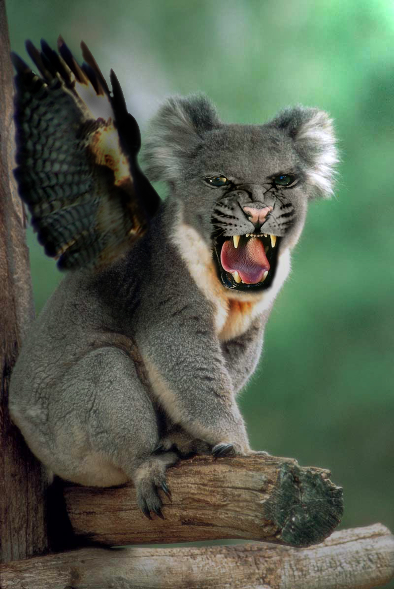 Photoshop Submission for 'Chimaera 4' Contest | Design #8986197