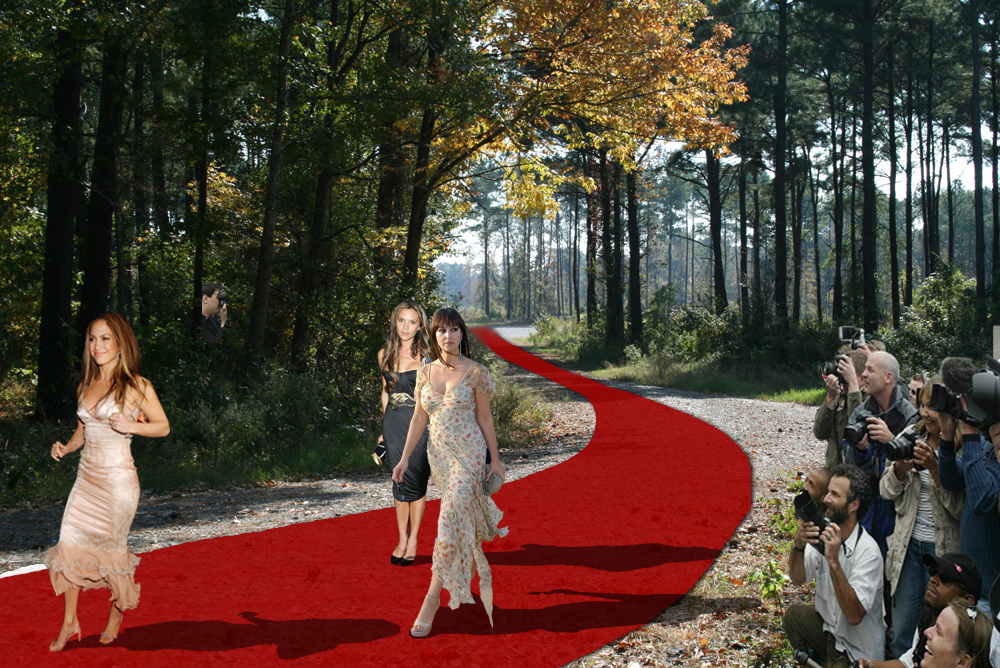 Photoshop Submission for 'Pathway' Contest | Design #8979560