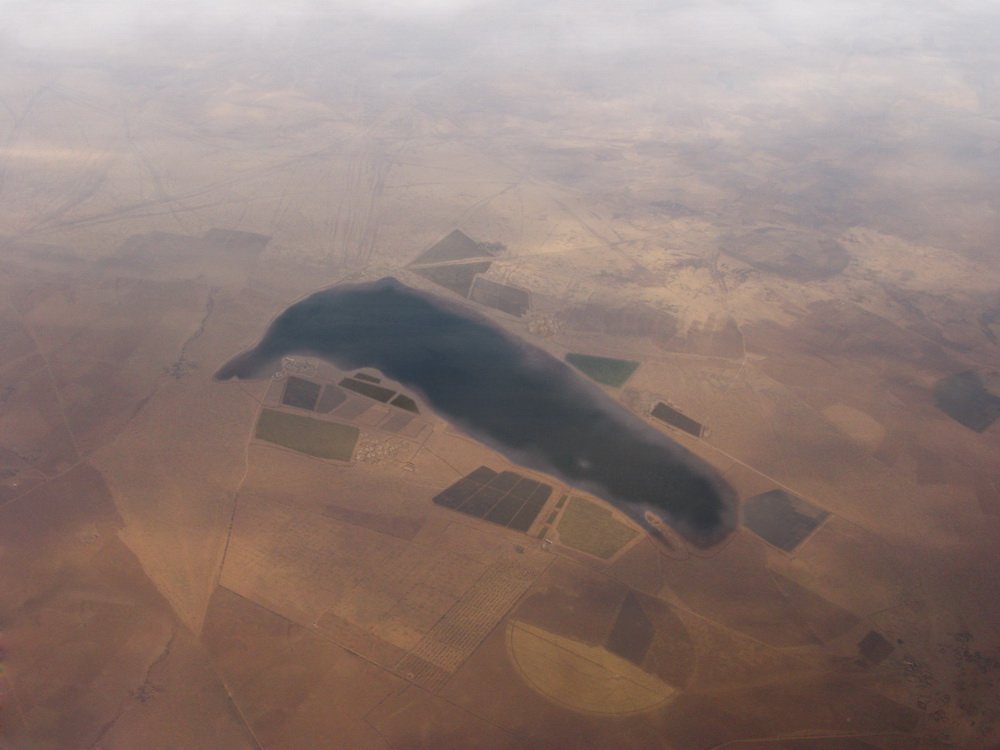 Photoshop Submission for 'Pareidolia 4' Contest | Design #8984376