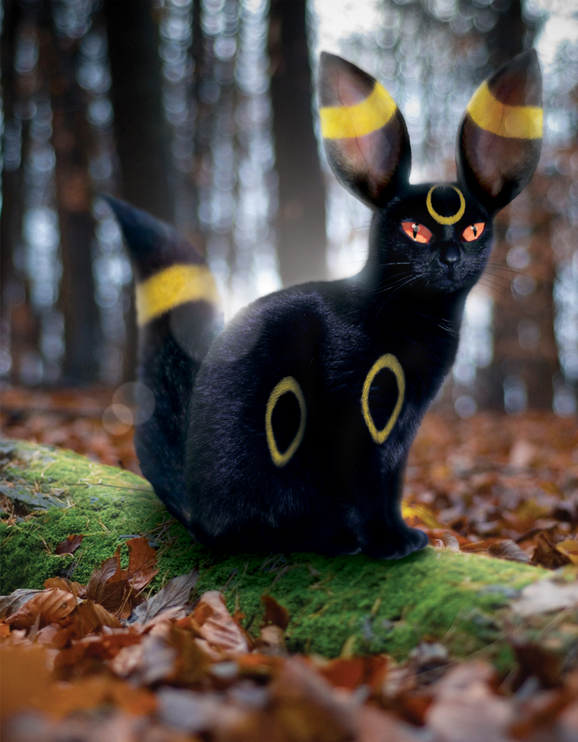 Photoshop Submission for 'Pokémon 3' Contest | Design #8971816