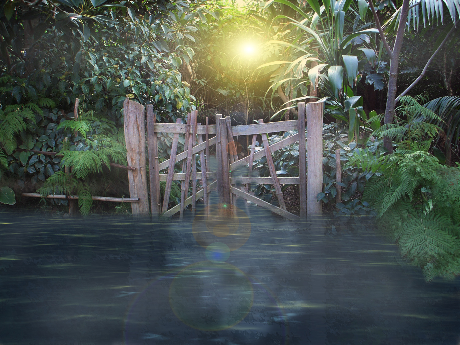 Photoshop Submission for 'Forest Gate' Contest | Design #8967430