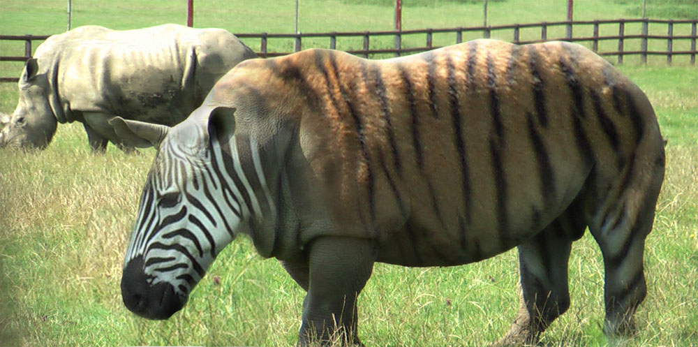 Photoshop Submission for 'PS Bonus Contest: Chimaera 5' Contest ...