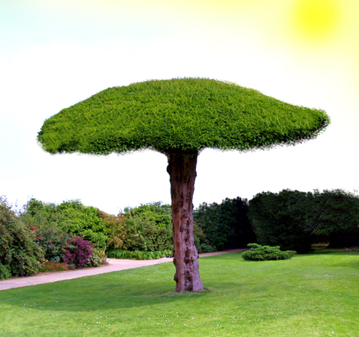 Photoshop Submission for 'Worth Alphabet 2' Contest | Design #8958020