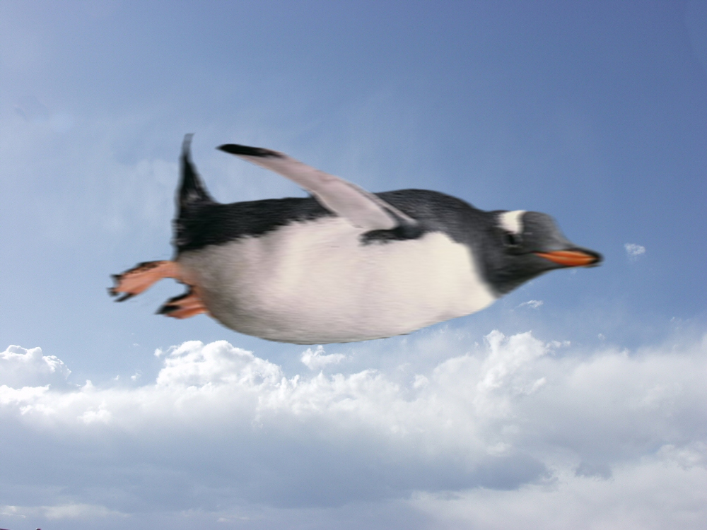 Photoshop Submission for 'Penguins 5' Contest | Design #8954317