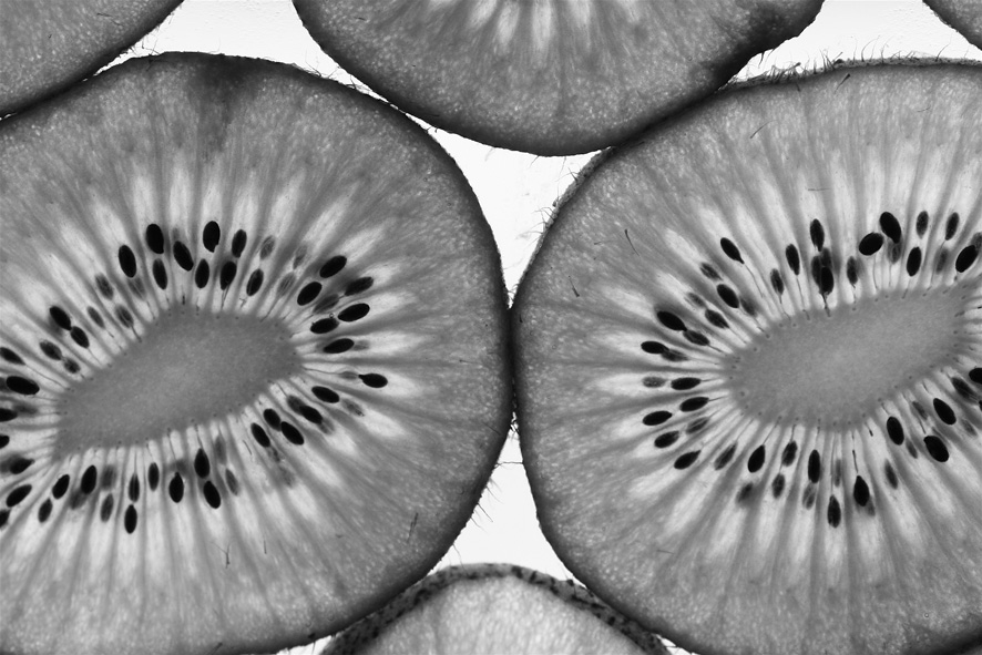 Photograph Submission for 'Beginner: Macro: B&W 2008 ' Contest | Design ...