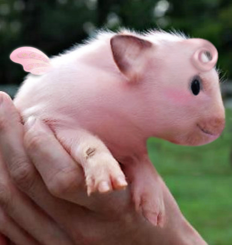 Realistic Clefairy