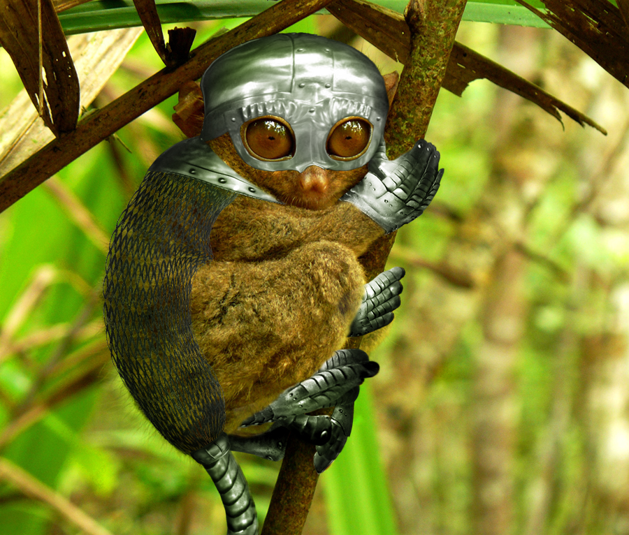 Photoshop Submission for 'Armored Animals 2' Contest | Design #8953207