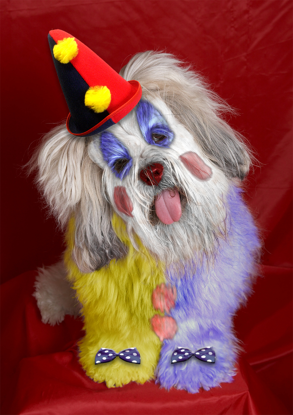 Photoshop Submission for 'Animal Clowns 5' Contest | Design #8940543