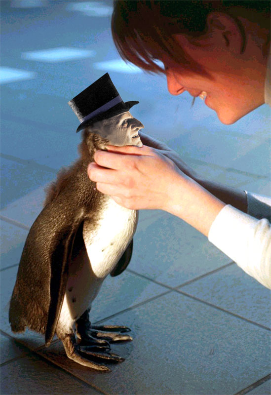 Photoshop Submission for 'Penguin' Contest | Design #9156097