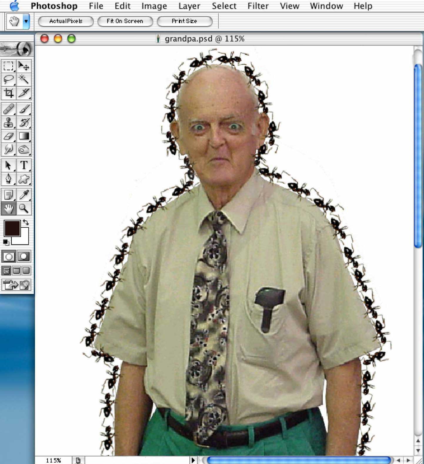 Photoshop Submission for 'Bug Swap' Contest | Design #9148633