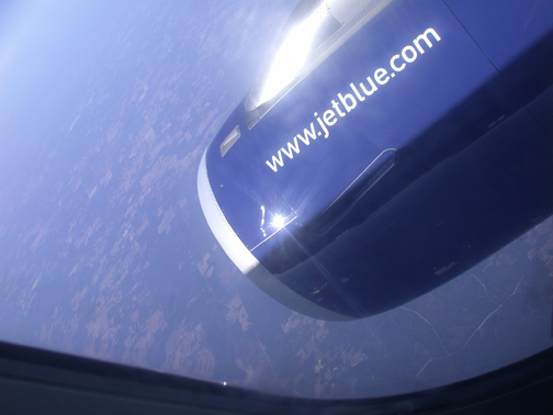 Photograph Submission for 'Beginner: Product Placement' Contest ...