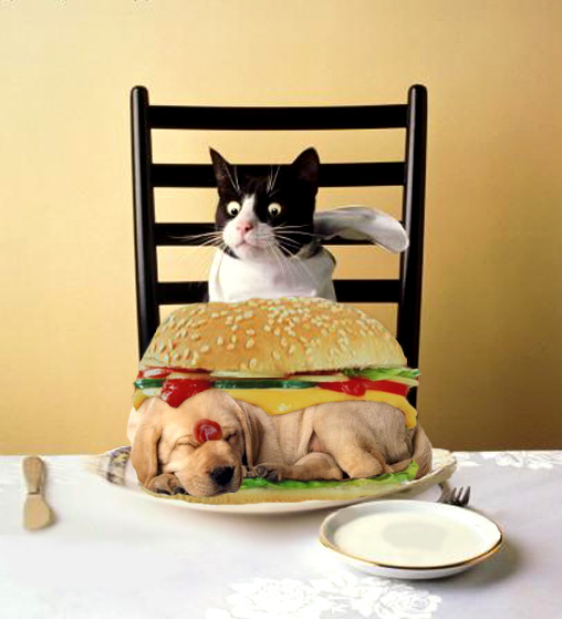 Photoshop Submission for 'Animal Dreams 4 ' Contest | Design #9110867