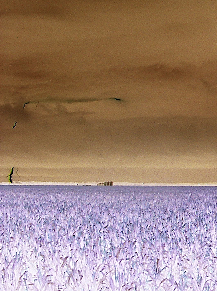 Photograph Submission for 'Nature Negatives' Contest | Design #9116271