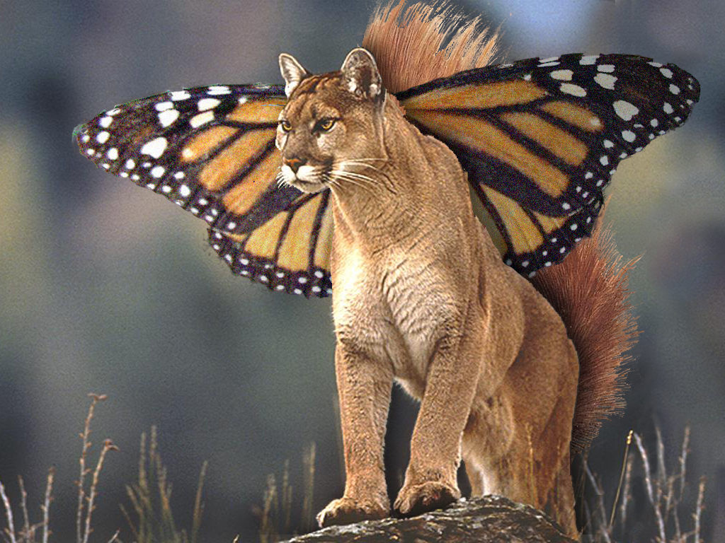 Photoshop Submission for 'Chimaera 5' Contest | Design #9102705